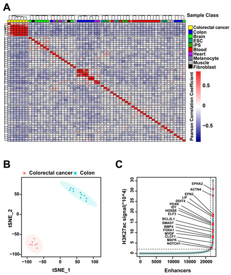 Regulation Network Of Colorectal Cancer Specific Enhancers In The