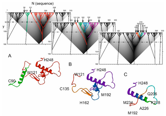 Hierarchical Structure of Protein Sequence