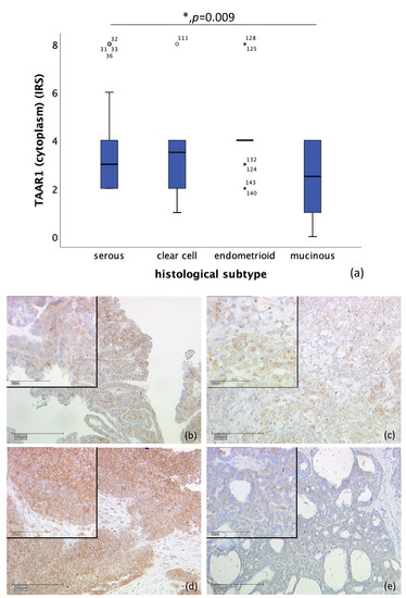 Trace Amine-Associated Receptor 1 (TAAR1) Is a Positive Prognosticator ...