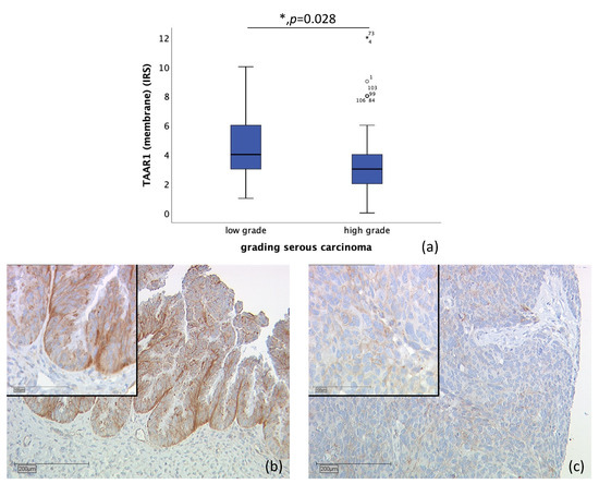 Trace Amine-Associated Receptor 1 (TAAR1) Is a Positive Prognosticator ...