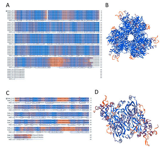 Insights into the Structure of Rubisco from Dinoflagellates-In Silico ...