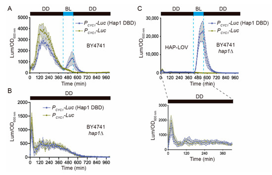 Modular and Molecular Optimization of a LOV (Light–Oxygen–Voltage ...