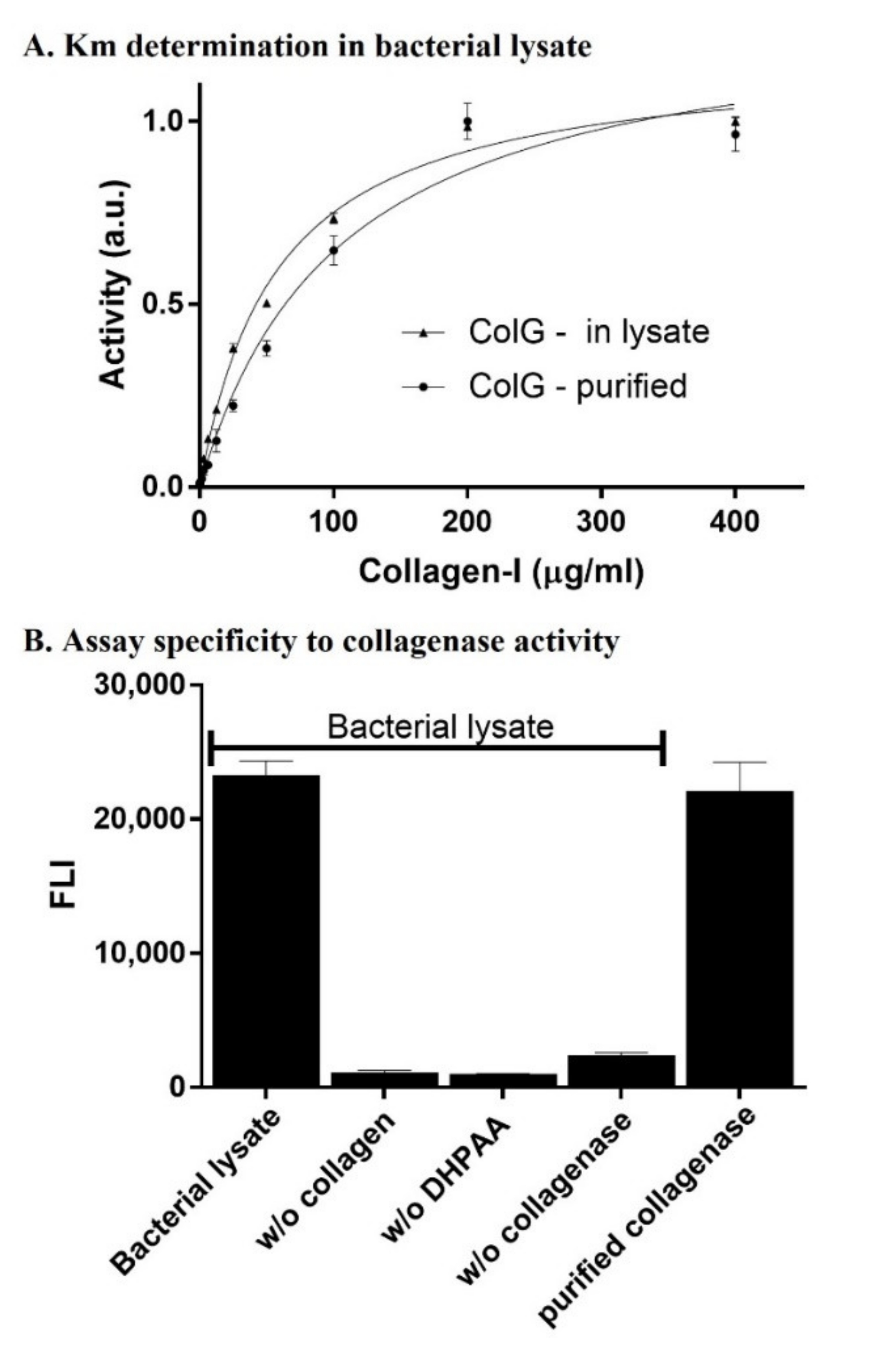 Screening Collagenase Activity in Bacterial Lysate for Directed Enzyme ...