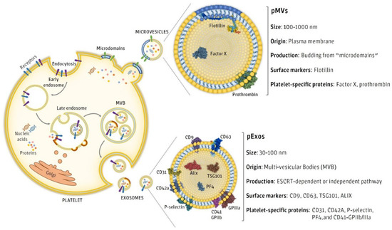 Platelet-Derived Extracellular Vesicles for Regenerative Medicine