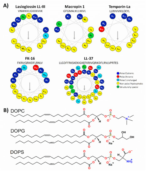 Membrane Association Modes of Natural Anticancer Peptides: Mechanistic ...