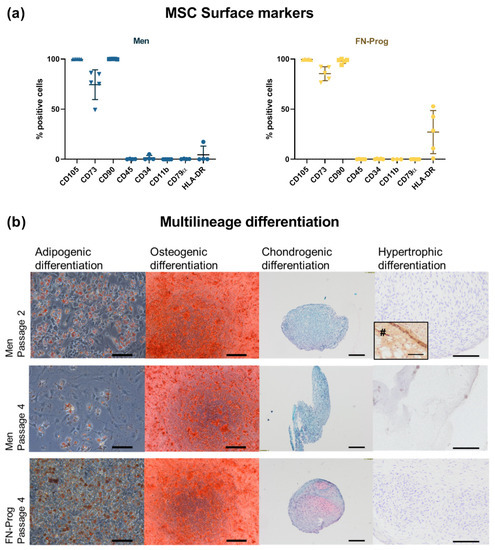 IJMS | Special Issue : Strategies for Meniscus Preservation and ...