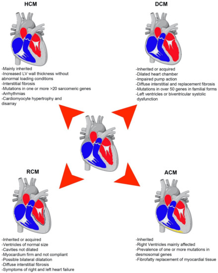 The Emerging Role of Epigenetics in Therapeutic Targeting of ...