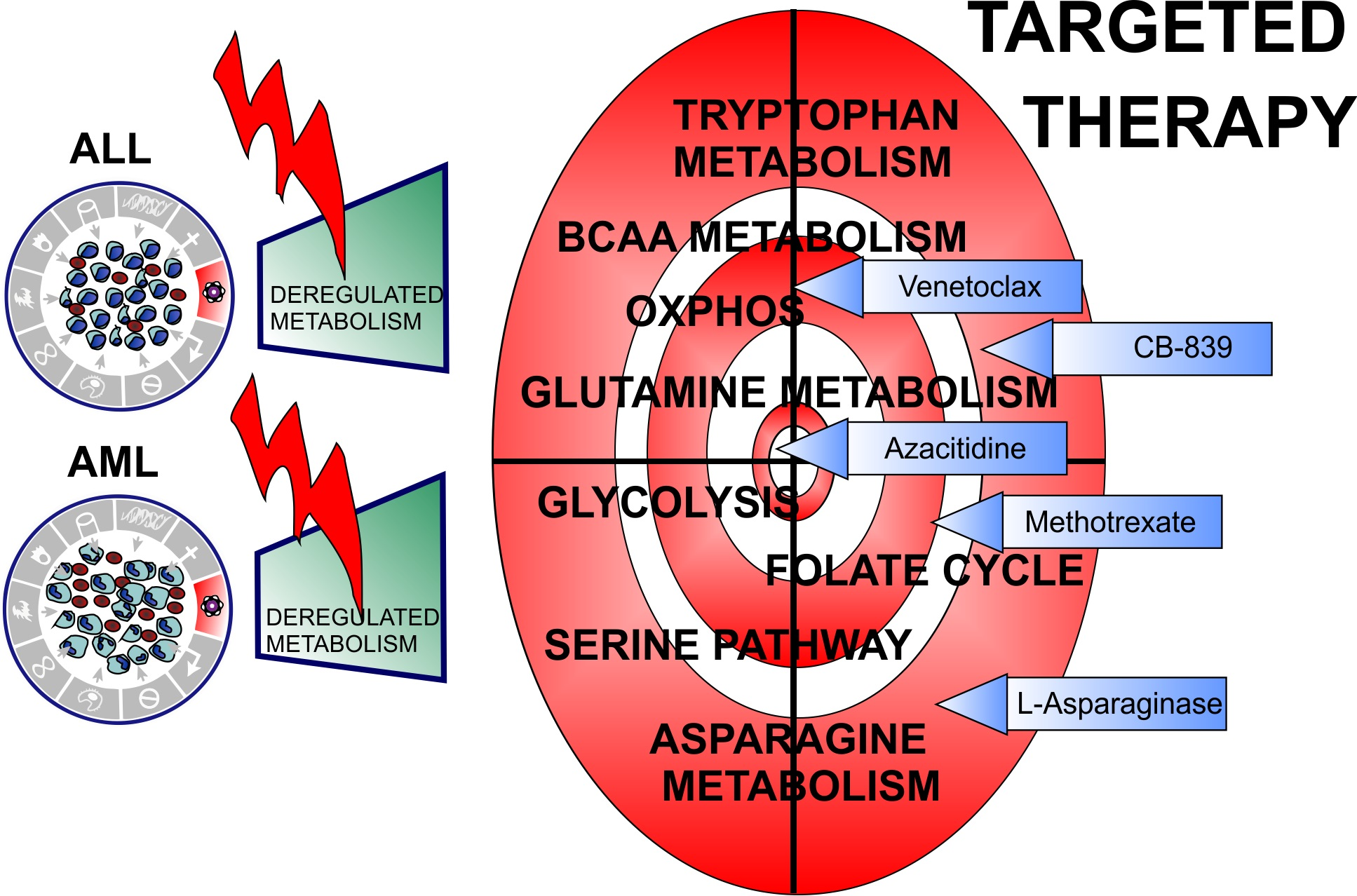IJMS | Free Full-Text | Insights on Metabolic Reprogramming and Its ...