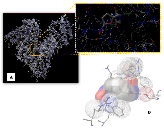 Molecular Basis of Interactions between the Antibiotic Nitrofurantoin ...