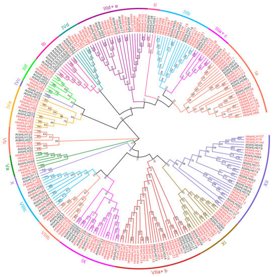 Genome-wide Analysis of Basic Helix-Loop-Helix Family Genes and ...