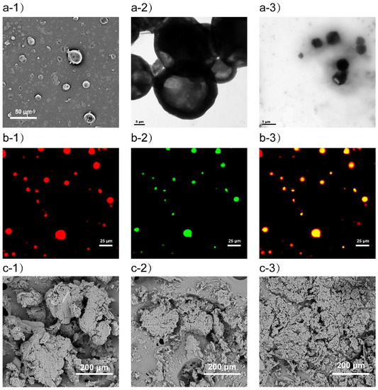 Sequential Release of Paclitaxel and Imatinib from Core–Shell ...