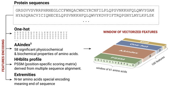 PYTHIA: Deep Learning Approach for Local Protein Conformation Prediction