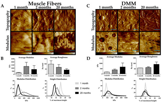 Advanced Glycation End Products Are Retained in Decellularized Muscle ...