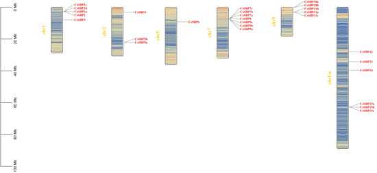 Genome-Wide Characterization and Expression Analysis of the SBP-Box ...