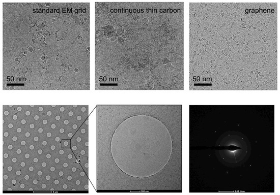 Application of Monolayer Graphene and Its Derivative in Cryo-EM Sample ...