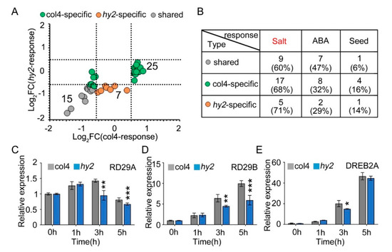 The Arabidopsis HY2 Gene Acts as a Positive Regulator of NaCl Signaling ...