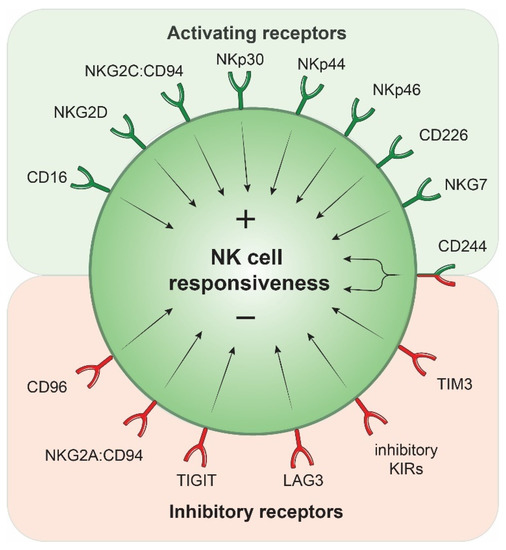 Natural Killer Cells and Type 1 Innate Lymphoid Cells in Hepatocellular ...
