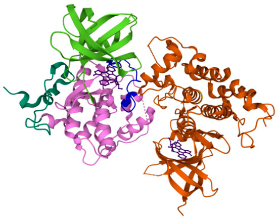 GSK-3β, FYN, and DYRK1A: Master Regulators in Neurodegenerative Pathways