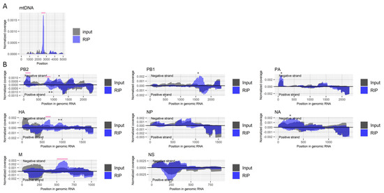 IJMS | Free Full-Text | RNA Modifications in Genomic RNA of Influenza A ...