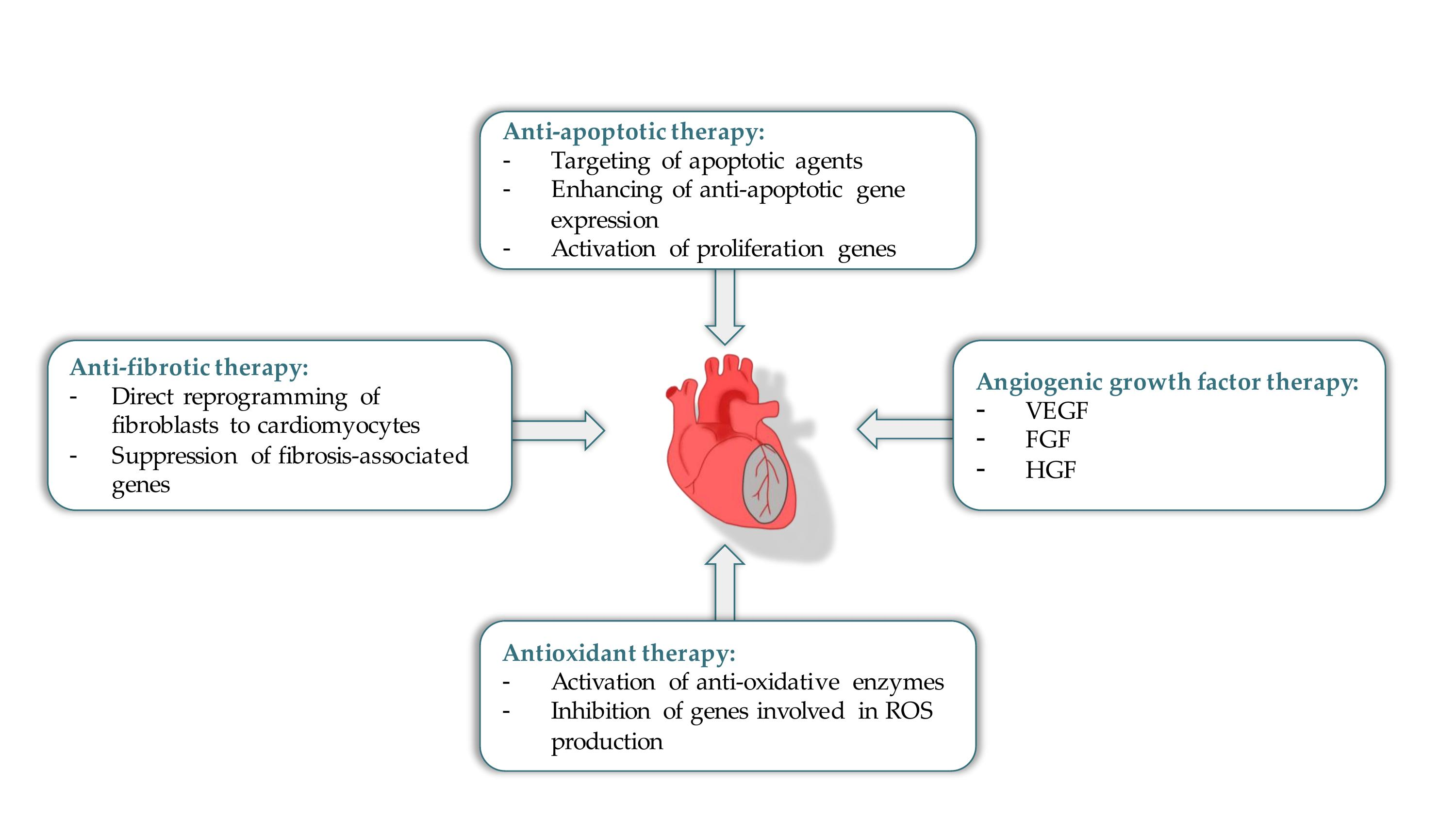IJMS | Free Full-Text | Recent Advances in Gene Therapy for Cardiac ...
