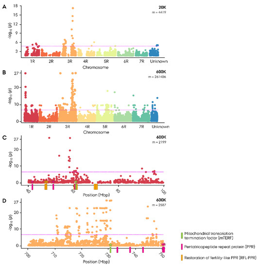 Genomic Scan of Male Fertility Restoration Genes in a ‘Gülzow’ Type ...