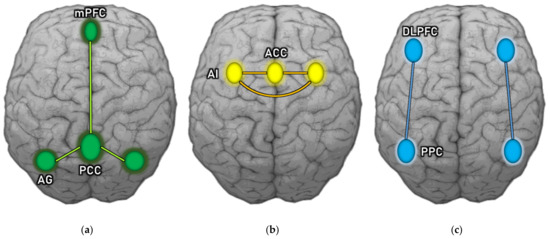 Pharmaco-Magnetic Resonance as a Tool for Monitoring the Medication ...