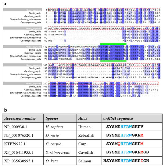 Zebrafish Bioassay for Screening Therapeutic Candidates Based on ...