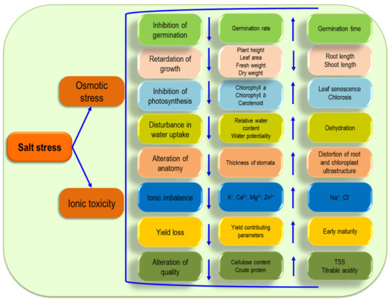 Regulation of Reactive Oxygen Species and Antioxidant Defense in Plants ...