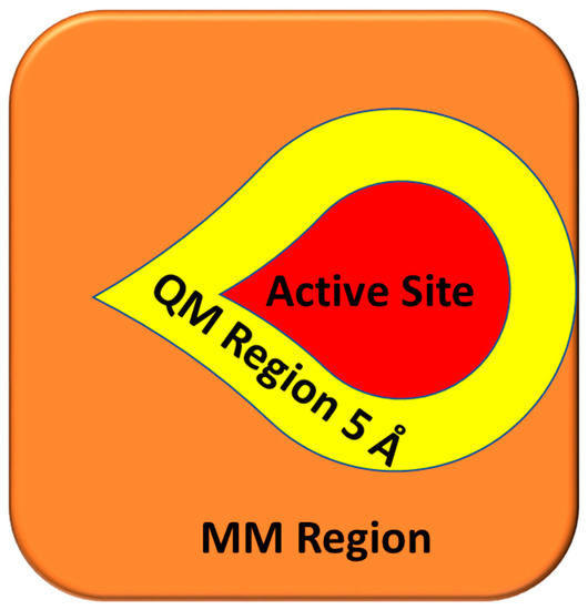 IJMS | Free Full-Text | Elucidation of Agonist and Antagonist Dynamic ...