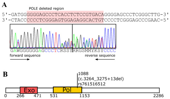 A POLE Splice Site Deletion Detected in a Patient with Biclonal CLL and ...