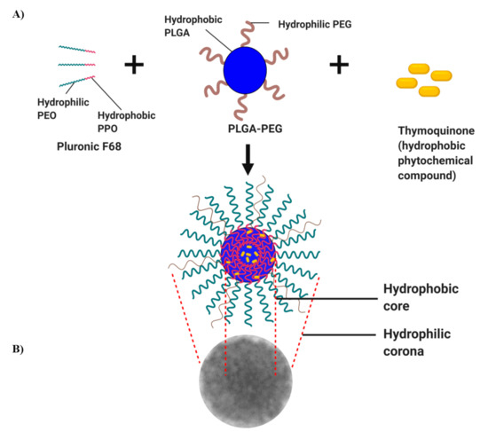 Formulation, Characterization and Cytotoxicity Effects of Novel ...