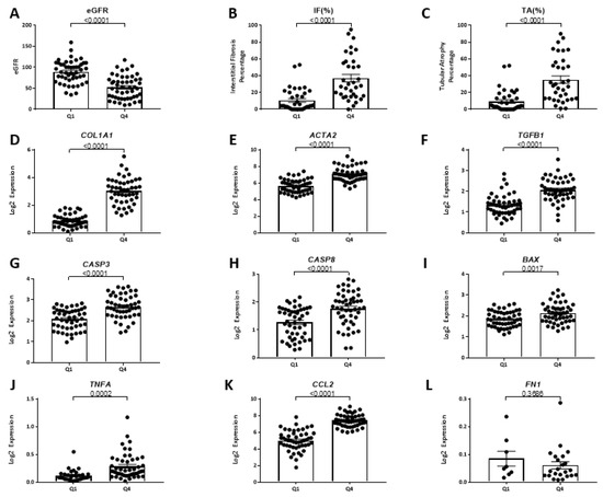 Follistatin-Like-1 (FSTL1) Is a Fibroblast-Derived Growth Factor That ...