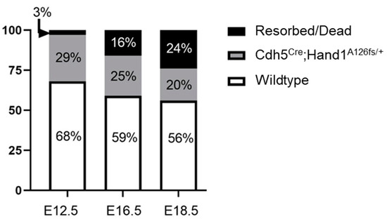 Conditional Mutation of Hand1 in the Mouse Placenta Disrupts Placental ...