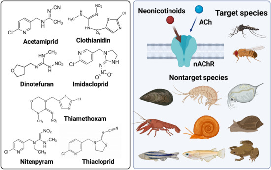Physiological Effects of Neonicotinoid Insecticides on Non-Target ...