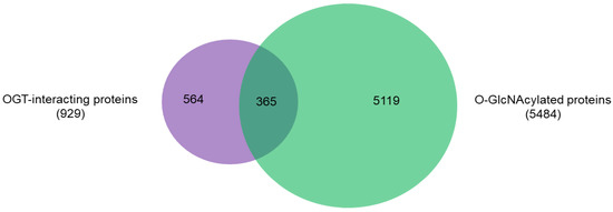 OGT Protein Interaction Network (OGT-PIN): A Curated Database of ...