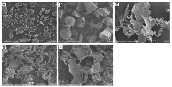 Advances in Chitosan-Based Nanoparticles for Drug Delivery