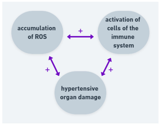 Molecular Interactions of Arterial Hypertension in Its Target Organs