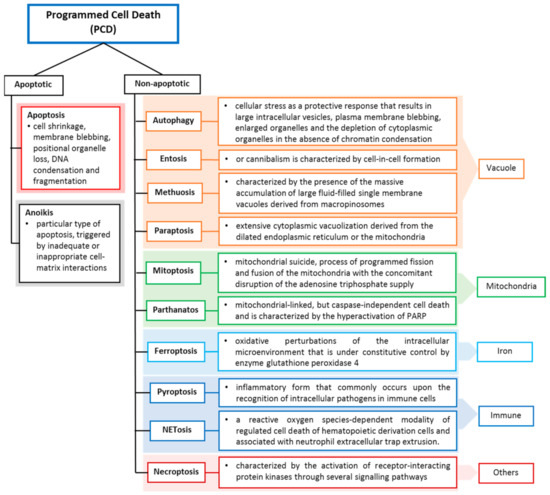 Small Molecules Targeting Programmed Cell Death in Breast Cancer Cells