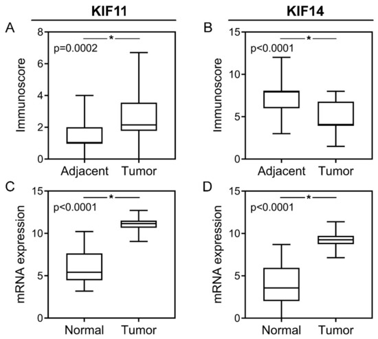 Prognostic Impact and Functional Annotations of KIF11 and KIF14 ...