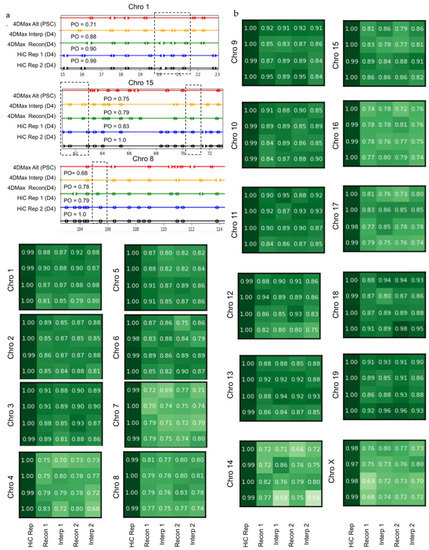 IJMS | Free Full-Text | Four-Dimensional Chromosome Structure Prediction