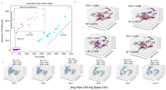 IJMS | Free Full-Text | Four-Dimensional Chromosome Structure Prediction