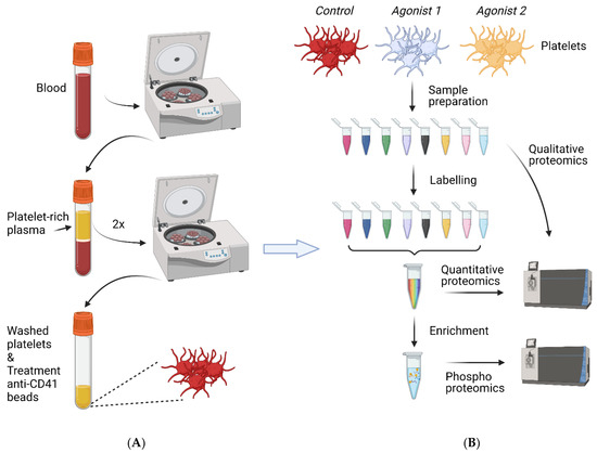 Molecular Proteomics and Signalling of Human Platelets in Health and ...