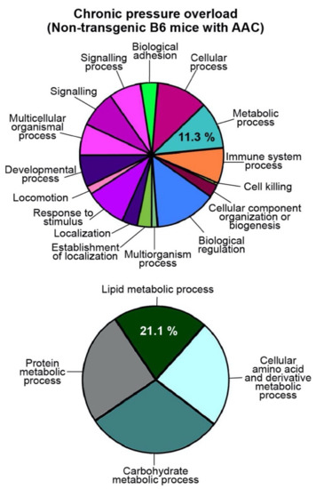 Stearoyl-CoA Desaturase (SCD) Induces Cardiac Dysfunction with Cardiac ...