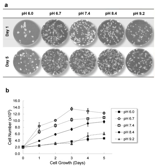 Effect of Exogenous pH on Cell Growth of Breast Cancer Cells