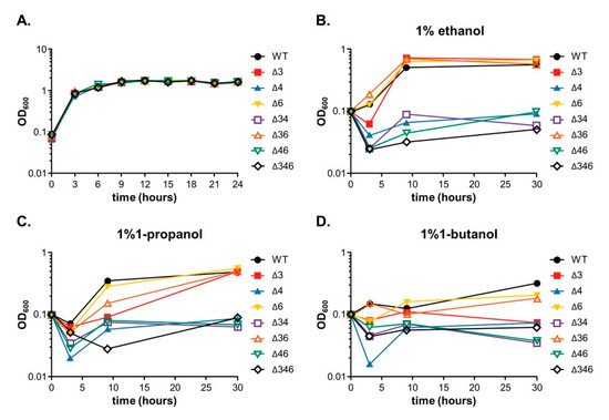 Role of Iron-Containing Alcohol Dehydrogenases in Acinetobacter ...
