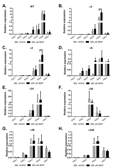 Role of Iron-Containing Alcohol Dehydrogenases in Acinetobacter ...
