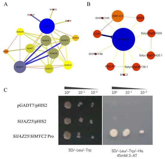 Genome-Wide Identification, Characterization and Expression Analysis of ...