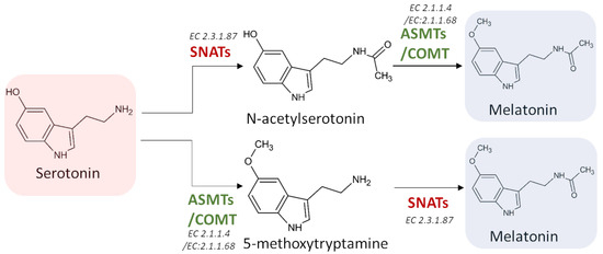 Melatonin and Phytomelatonin: Chemistry, Biosynthesis, Metabolism ...