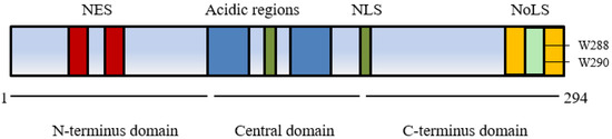 Significance of NPM1 Gene Mutations in AML