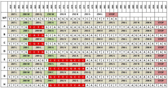 Significance of NPM1 Gene Mutations in AML